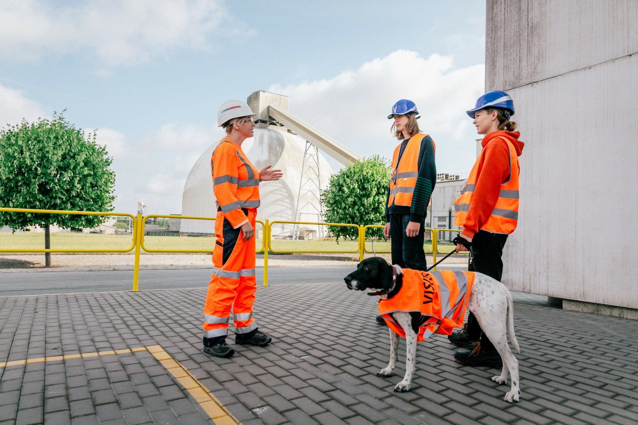 TV program “Pa straumei” explored cement production at the SCHWENK ...